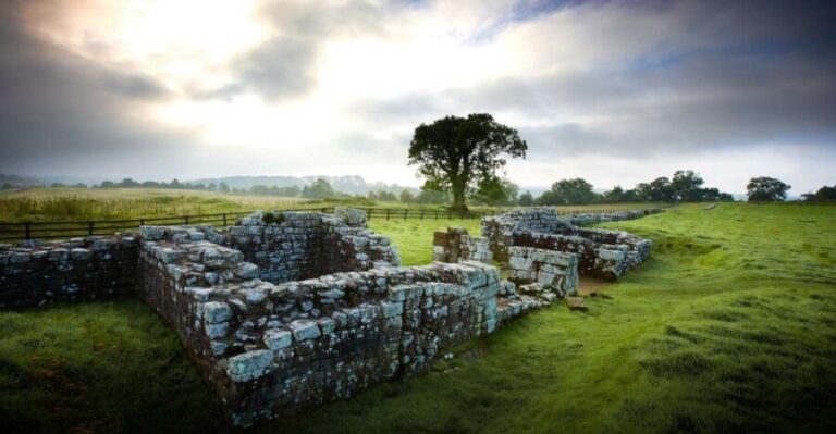 Hadrian's Wall: Birdoswald Roman Fort Entry Ticket - Exploring Birdoswald Roman Fort: What to Expect