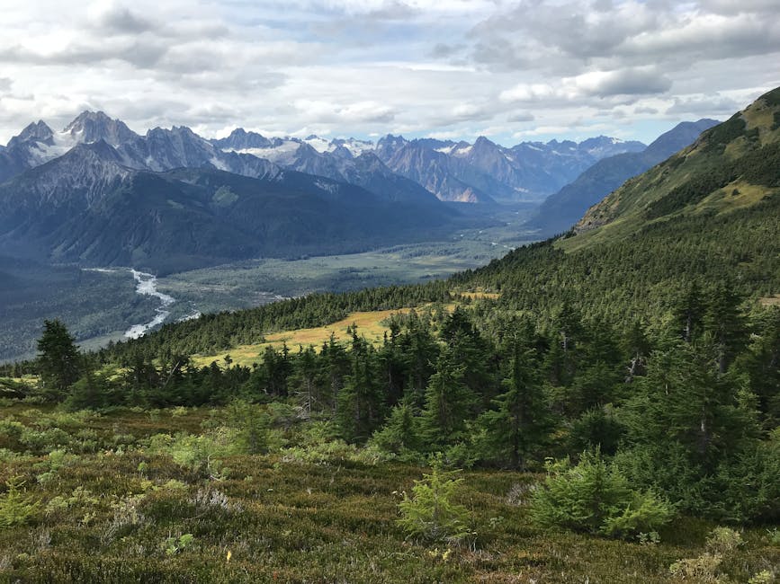 Lush forests and mountain peaks in coastal Alaska