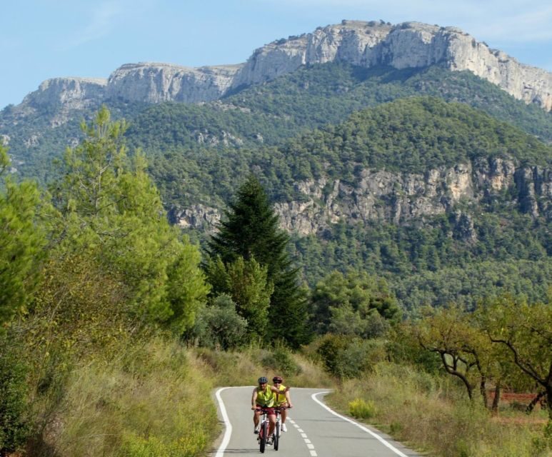 Half-Day Bike Tour from Salou - The Sum Up