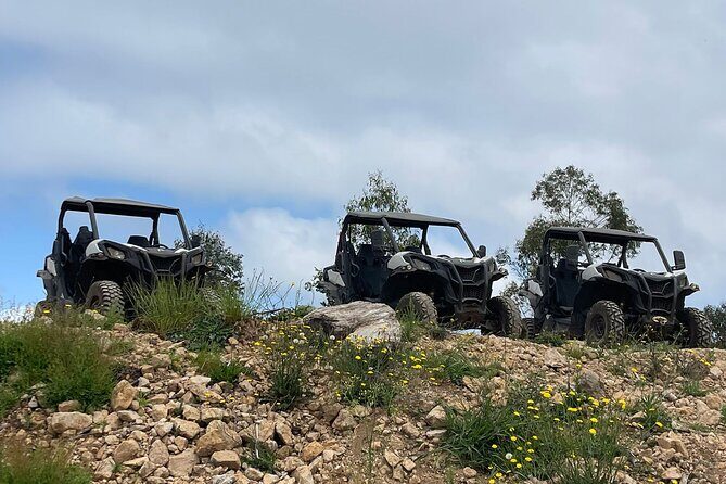 Half-Day Buggy Tour from Câmara de Lobos - The Value in the Price