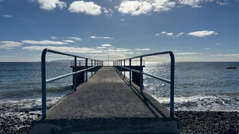 Half-Day Country Market Tour on Madeira Island - A Deep Dive into the Tour Experience