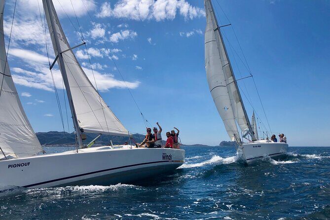 Half-day excursion in the Calanques of Frioul - What You’ll Do