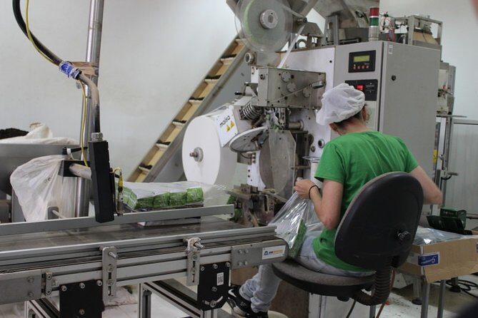 Half Day Furnas And Hot Springs - The Experience from a Traveler’s Perspective