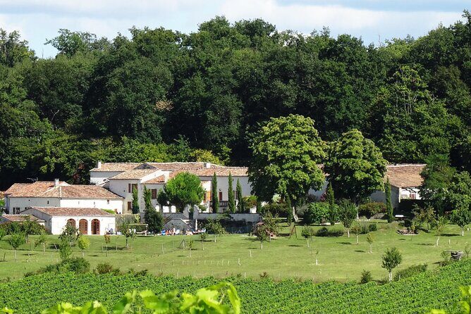 Half-day Guided E-Bike Ride to Discover The Cognac Vineyard - Practical Aspects and Value