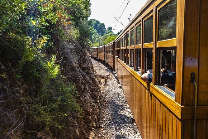 Half Day Guided Tour in Soller Train and Tram - Authentic Experiences & Honest Feedback