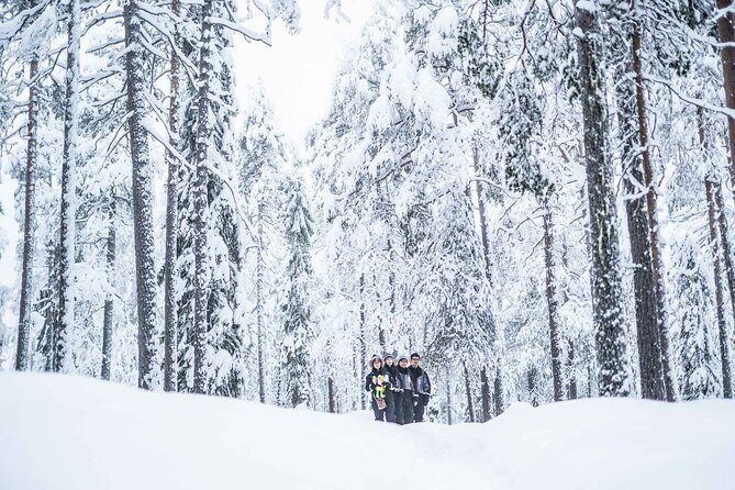 Half Day Guided Tour in the Wilderness of Levi - The Experience: Deep Dive into the Day
