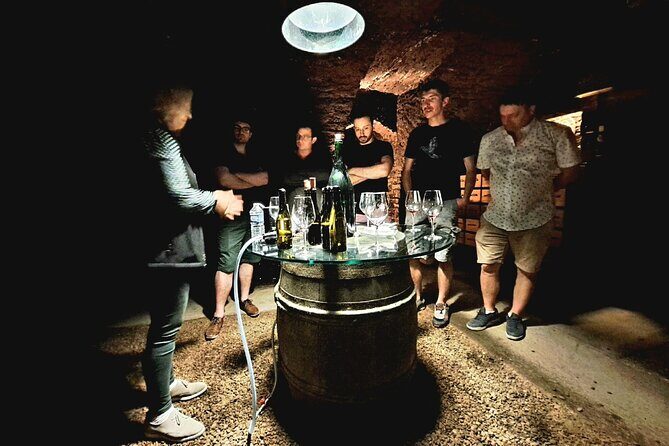 Half-day guided tour on the Burgundy wine Route in a classic car - The Experience Breakdown: What You Can Expect