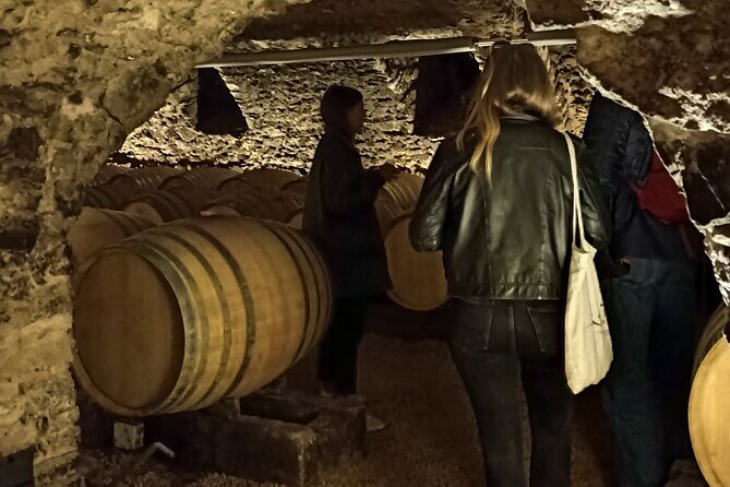 Half-Day Guided Tour with Tasting of Beaujolais Wines - Transportation & Group Size