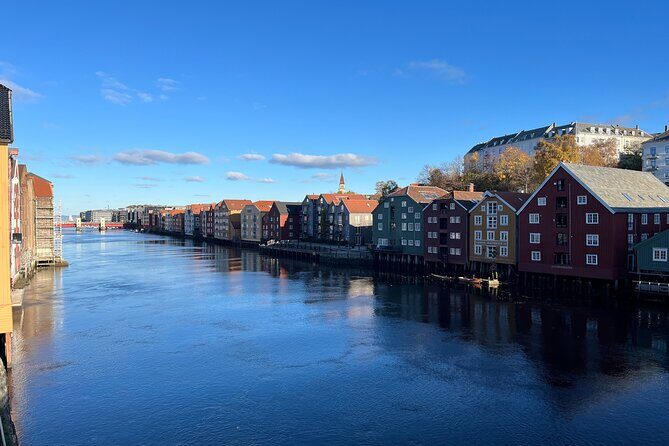 Half-Day Highlights of Trondheim by Bus and City Walk - Pros and Cons Based on Feedback