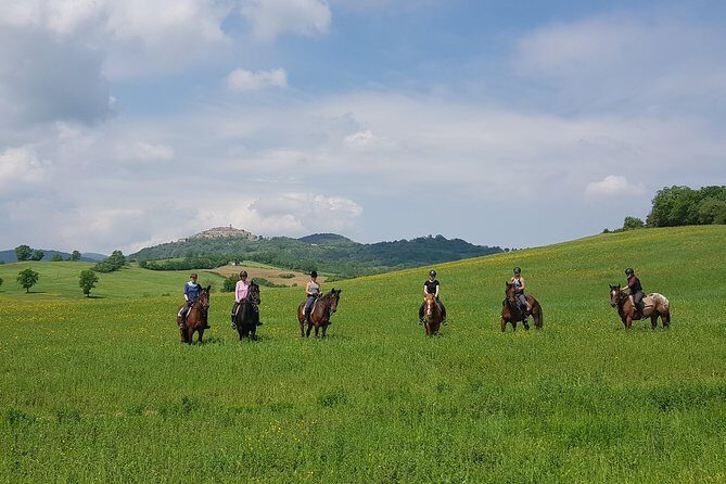 Half-Day Horseback Ride in Tuscany for beginner riders - Practical Information for Travelers