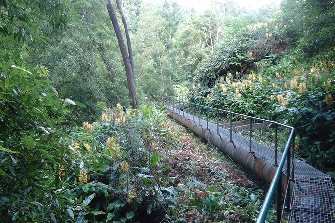 Half-Day Jeep Tour from Ponta Delgada - Lagoa do Fogo - What Makes This Tour Worthwhile?