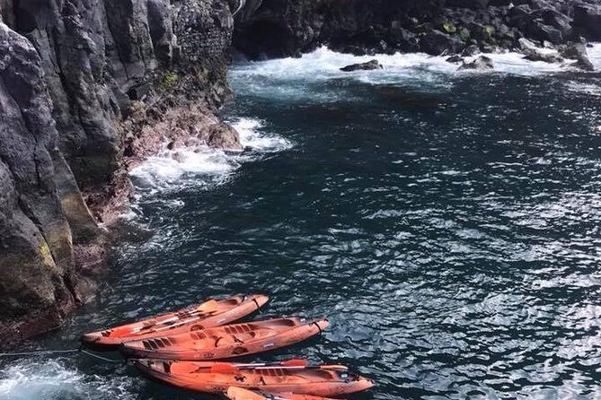 Half day kayak tours - The Itinerary: What You Can Expect