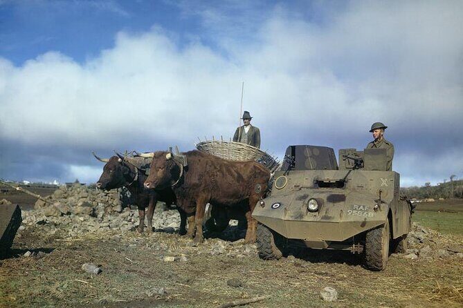 Half-Day Lajes Air Base Historic Sightseeing Tour - Who Should Take This Tour?