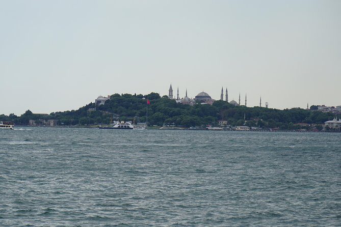 Half Day Morning Bosphorus Cruise & Spice Bazaar visit (Bus and Boat Tour) - The Spice Bazaar: A Feast for the Senses