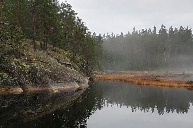 Half-Day Nature Adventure to Nuuksio National Park from Helsinki - Why You’ll Love This Experience