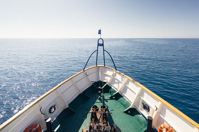 Half-Day Odyssey Guided Boat Safari with Lunch in Cyprus - Group Size and Comfort