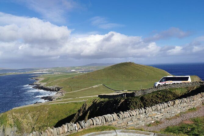 Half Day Private Tour with Puffins, Ponies and Past Shetland - Who Will Love This Tour?