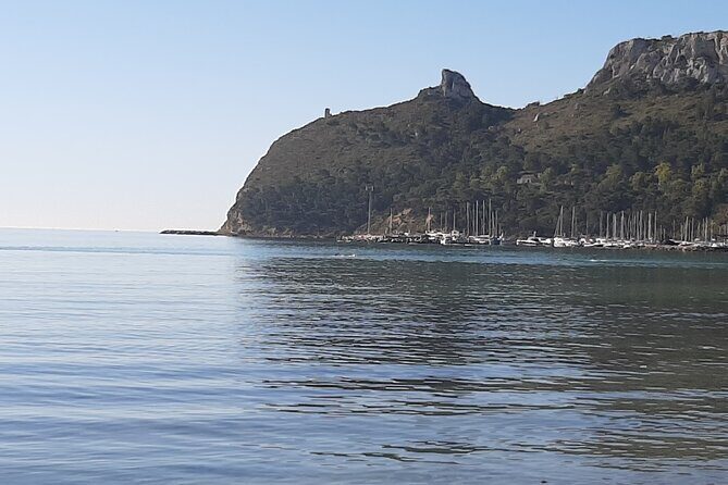 Half-Day Private Trip from Cagliari to Barumini in Su Nuraxi - What Our Reviewers Say