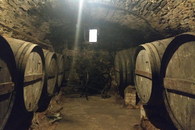 Half Day Private Wine & Oil Tasting Tour near Barcelona with hotel pick up - Practical Details and Tips