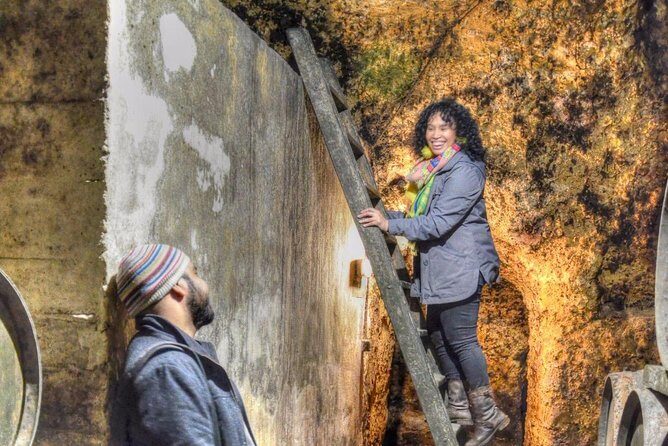 Half Day Rioja Wine Tour - Deep Dive into the Itinerary