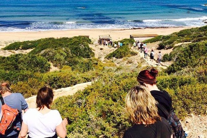 Half day Safari Tour to Akamas Peninsula from Paphos - The Sum Up