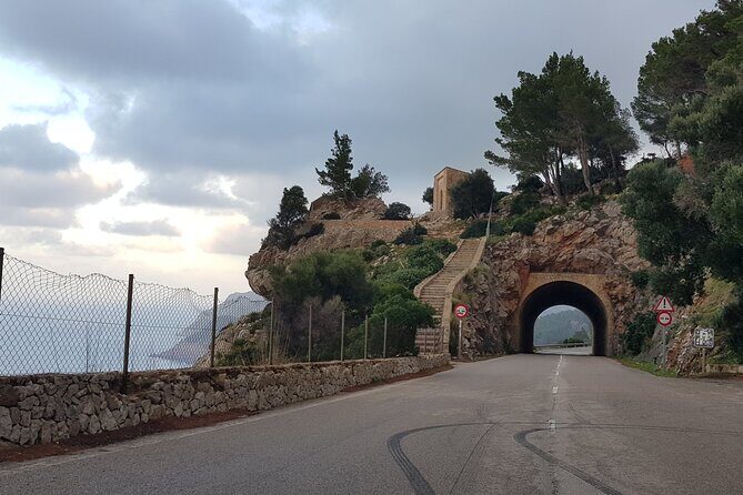 Half Day Slingshot Tour from Paguera - Who Is This Tour Best Suited For?