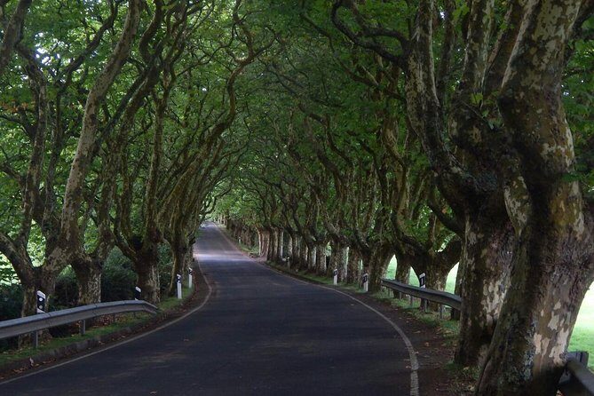 Half Day Terceira Island Tour by 4x4 - Scenic Viewpoints and Hidden Spots