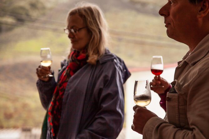 Half day to Bandama Caldera, Botanical experience & Wine-Tasting - Practical Details