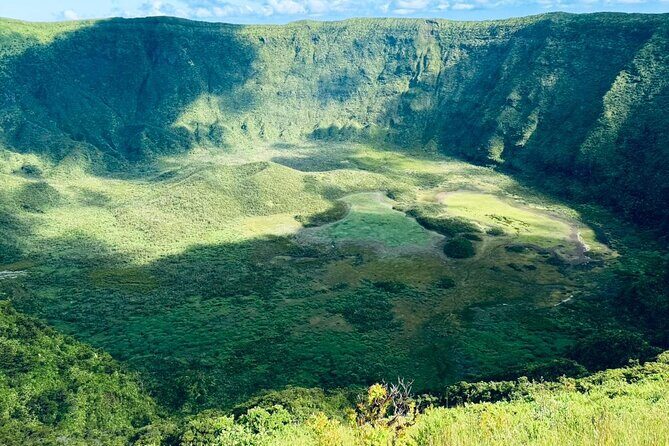 Half-Day Tour around Faial Island - What to Expect from the Itinerary