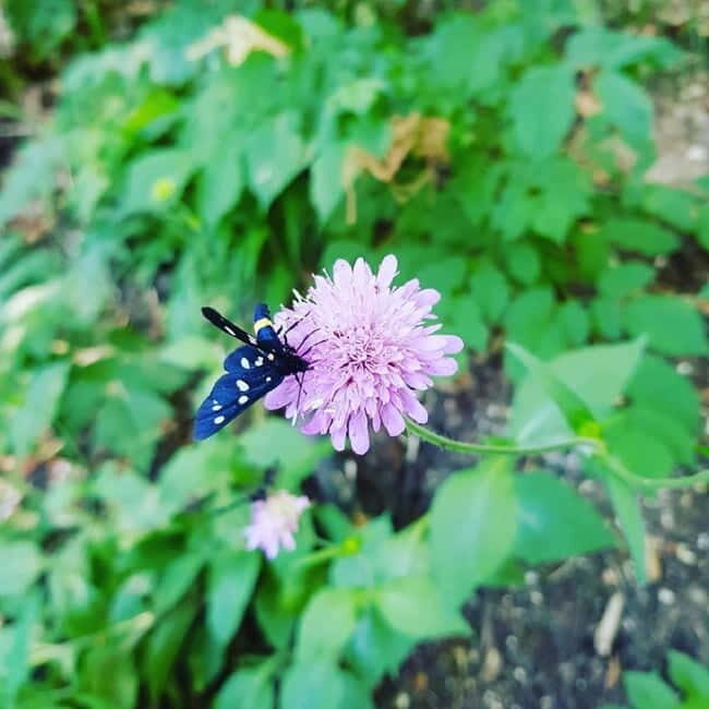 Half day tour around Plitvice Lakes - Practical Aspects: What You Need to Know