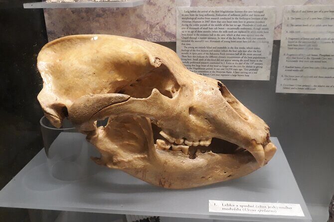 Half Day Tour to the Macocha Abyss and The Punkva Caves - What the Tour Covers