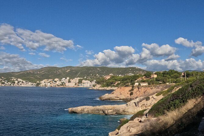 Half Day Trike Tour from Paguera - Final Thoughts: Who Will Love This Tour?