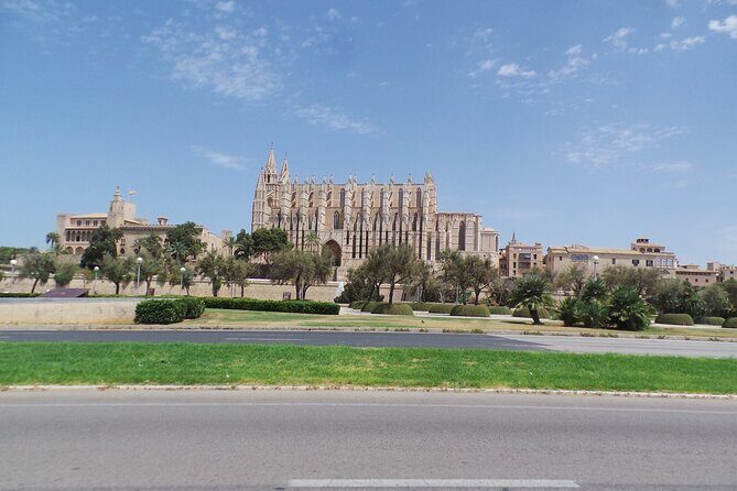 Half Day Trike Tour from Paguera - An In-Depth Look at the Experience