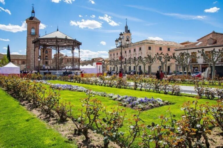 Half-Day Trip from Madrid: Alcalá de Henares & Winery Visit - A Well-Balanced Look at the Tour: What You Get and Why It Matters