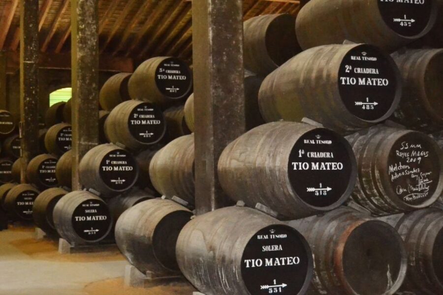 Half-Day Wine Tour in Andalusia in small group - The Cost and Its Value