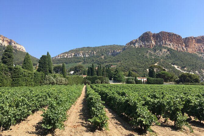 Half day Wine Tour in Bandol & Cassis from Aix en Provence - Potential Limitations and Considerations