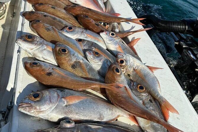 Half-seabed or rod fishing tour with bolentino - What to Expect From the Itinerary