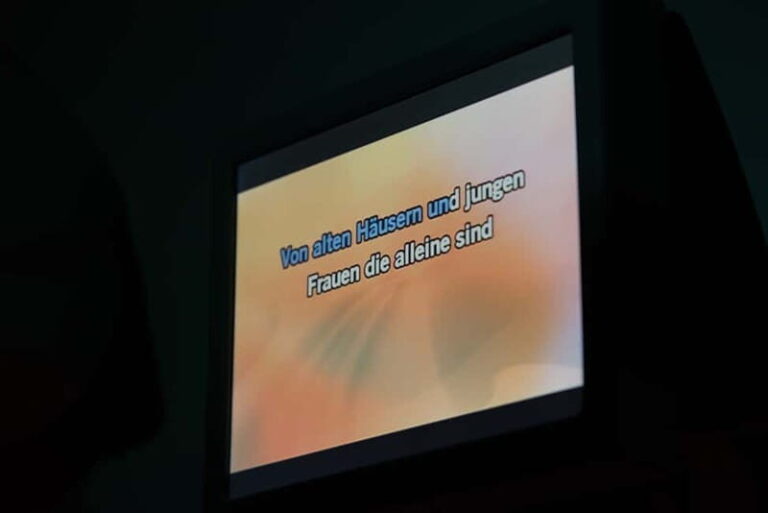 Hamburg: 1.5-Hour International Karaoke Bus Tour - The Practical Side: Pricing, Duration & Group Dynamics