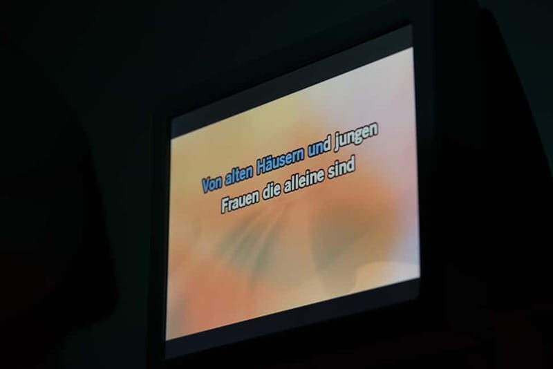 Hamburg: 1.5-Hour International Karaoke Bus Tour - The Practical Side: Pricing, Duration & Group Dynamics