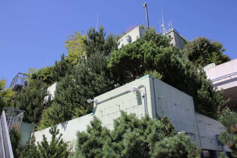 Hamburg: St. Pauli's "Green Bunker" Tour  above the rooftops of Hamburg - FAQs