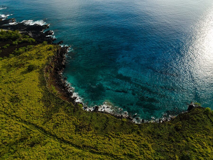 Aerial view of Hawaii Honaunau coastline with ocean