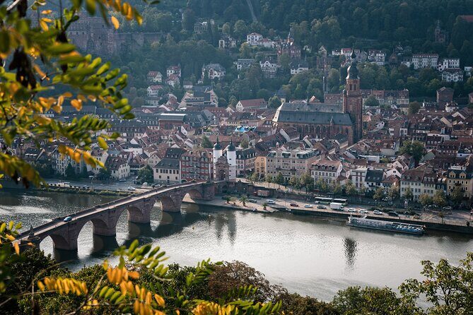 Heidelberg Private Walking Tour with a Local - What Travelers Say: Authentic Insights