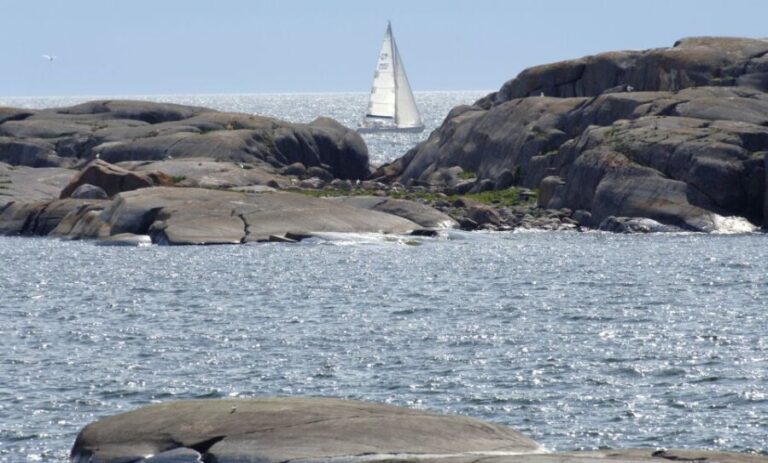 Helsinki: Archipelago RIB Boat Tour with BBQ Lunch and Sauna - What Sets This Tour Apart?