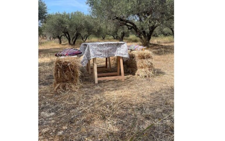Heraklion :Olive & Dragon Farm Tour & Cretan Farmers Brunch - What to Expect from the Olive & Dragon Farm Tour