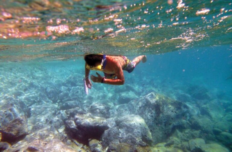 Heraklion: Private sailing to Dia Island with Lunch - An In-Depth Review of the Sail to Dia Island Experience