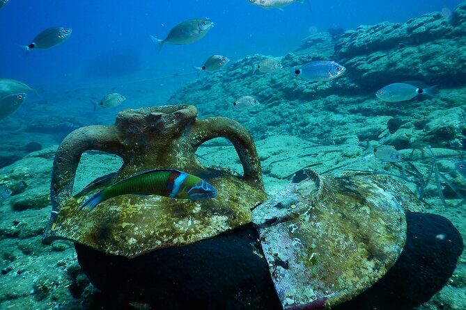 Heraklion: Scuba Diving Experience for Beginners - The Experience’s Pros & Cons