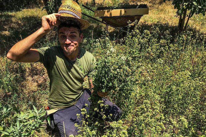 HERBS LAB - from plant to glass - FAQs