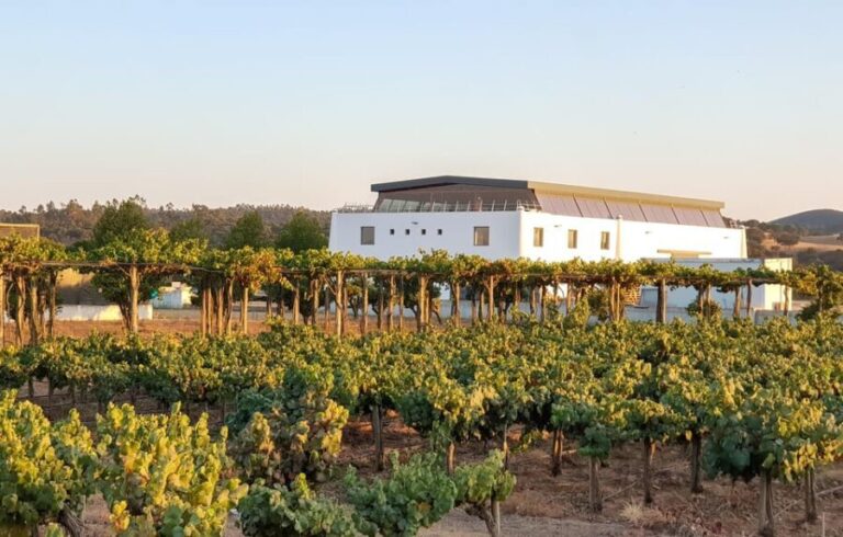 Herdade Canal Caveira - Winery Visit 4 Wines & Tapas - Who Will Love This Experience?