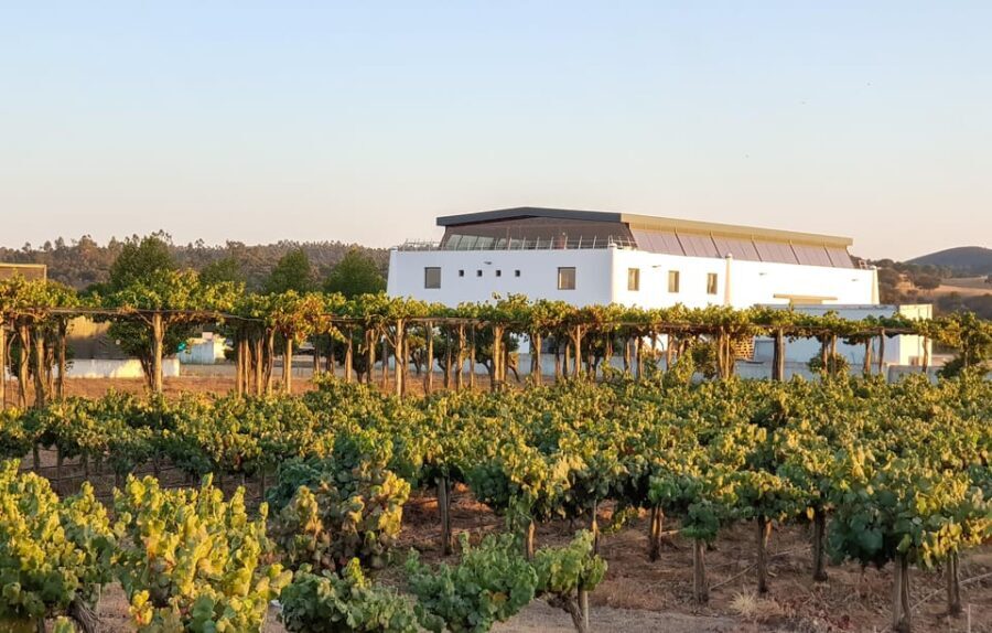Herdade Canal Caveira - Winery Visit 4 Wines & Tapas - Who Will Love This Experience?