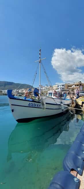 Hersonissos: Agapi Fishing Trips Sunset Cruise - Net Haul and Marine Life Insights